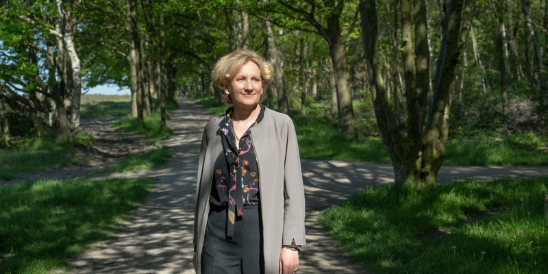 Corporate Governance | APG