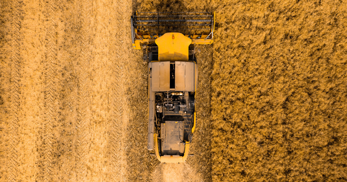 APG and Achmea facilitate loans for sustainable projects in Africa | APG