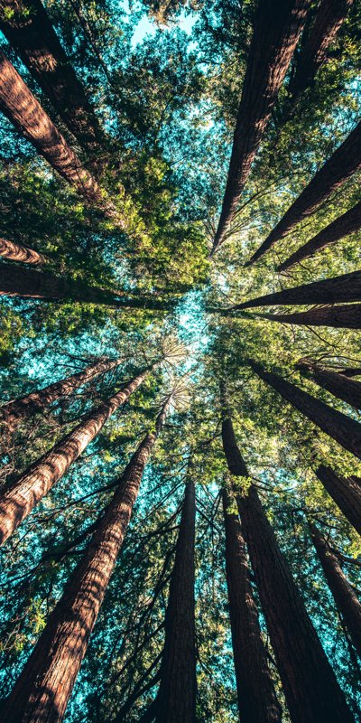 The renewed pension system in the netherlands | APG
