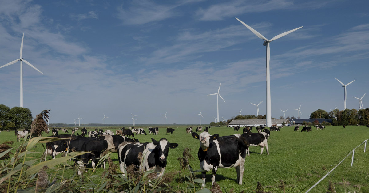 Gerard van Olphen's response to the Climate agreement | APG