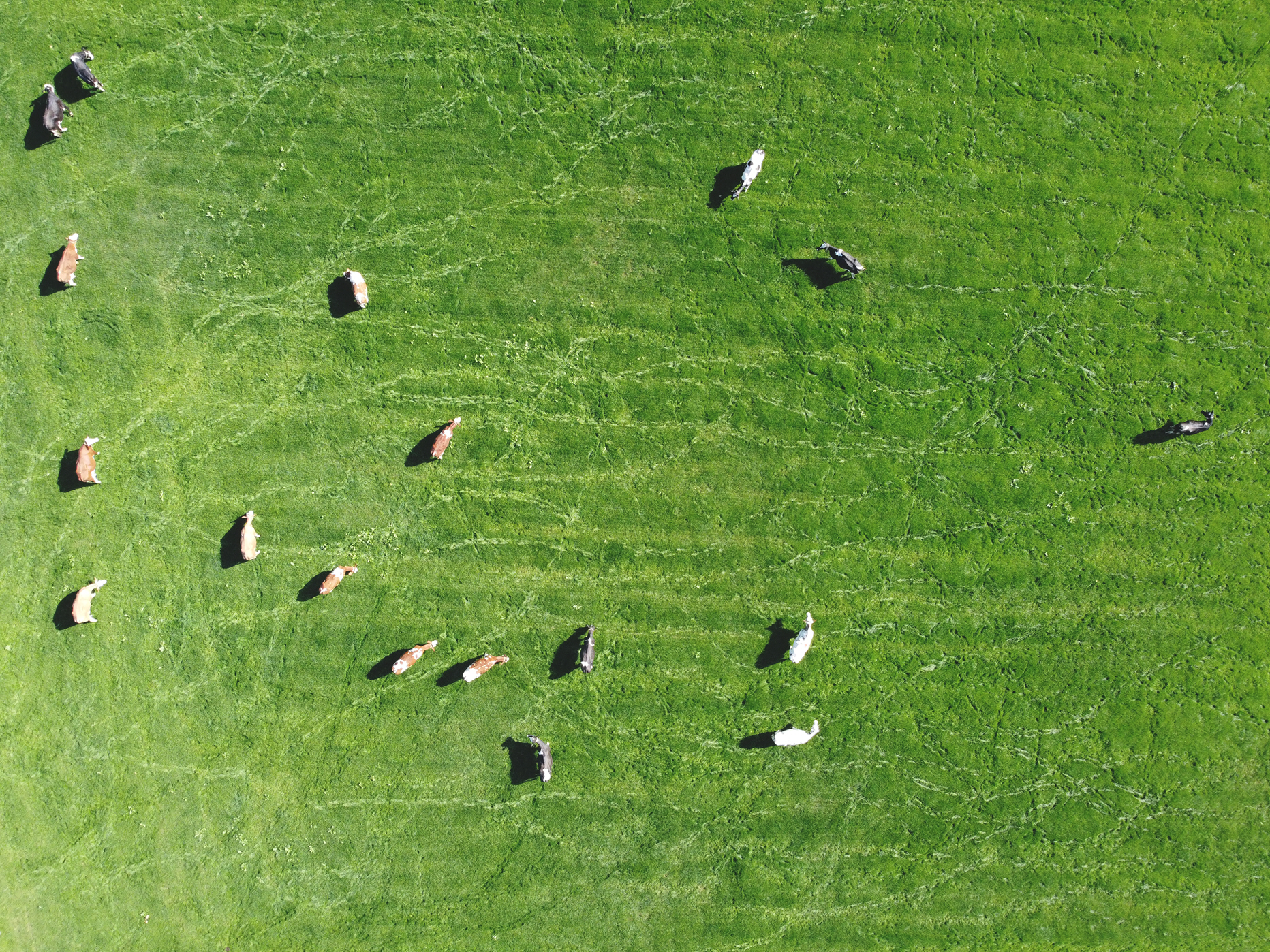 ABP most sustainable Dutch pension fund for fourth year | APG