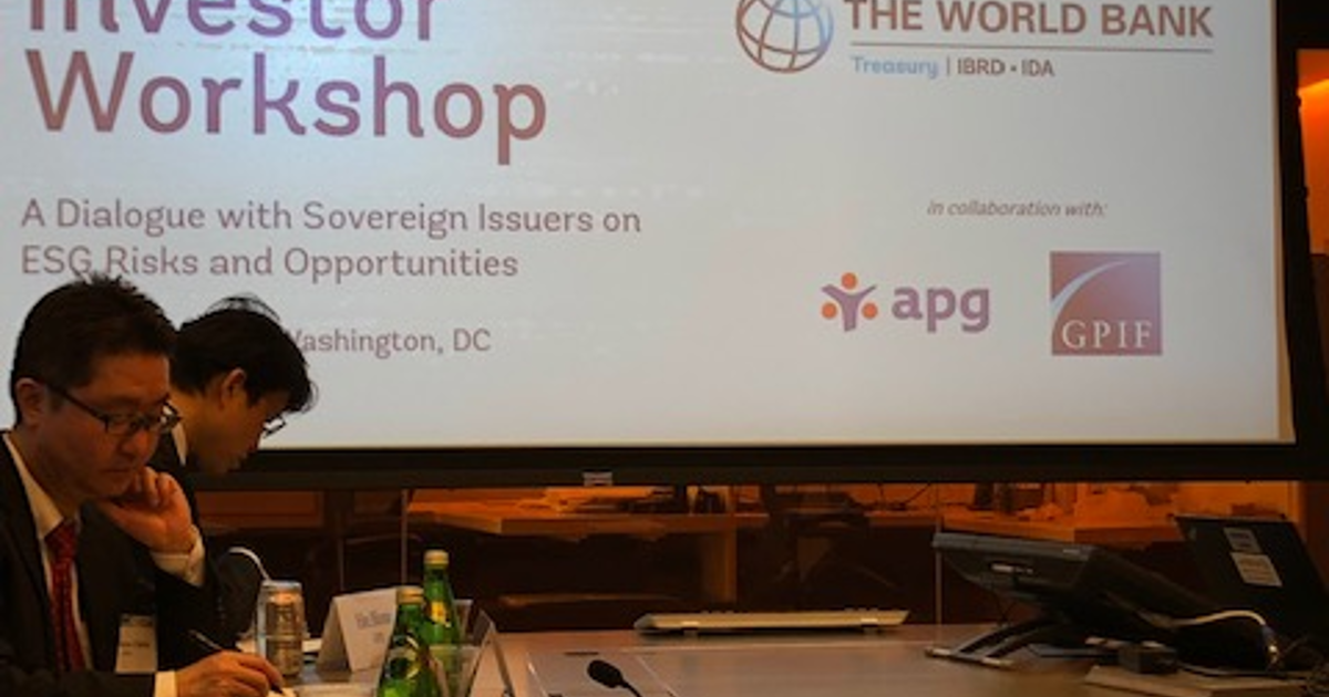 APG encourages sustainable green bond growth | APG